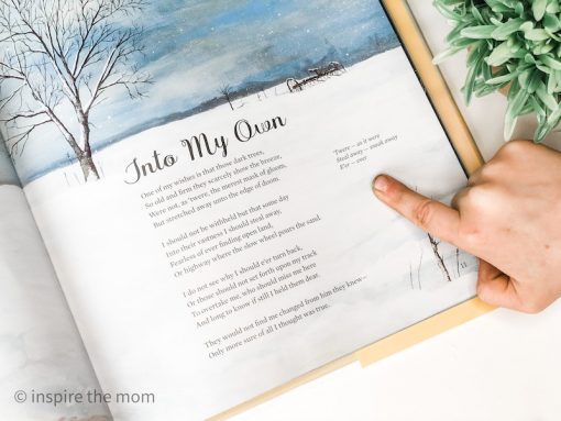 10 Great Books of Poetry for Kids