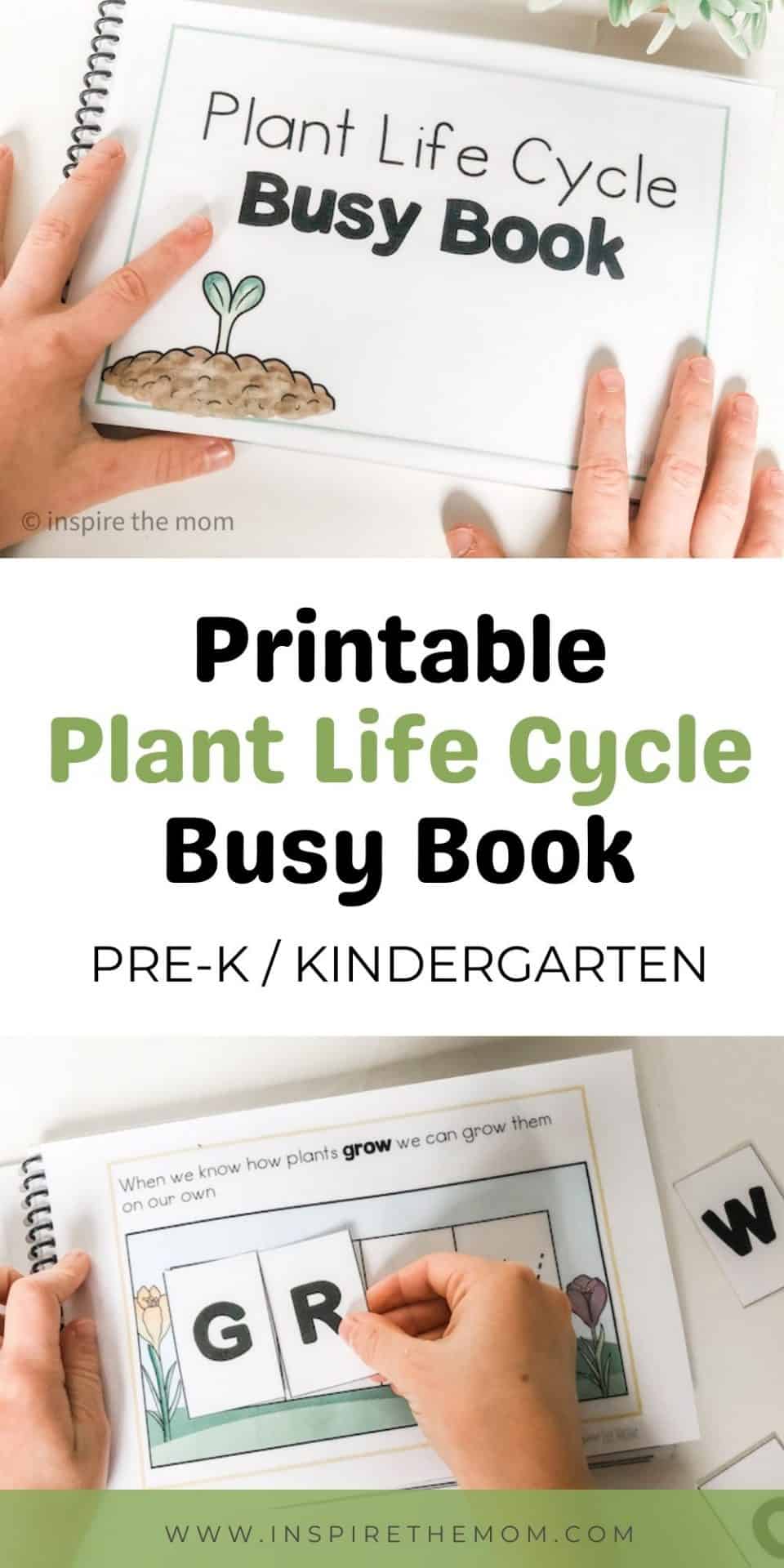 Printable Plant Life Cycle Busy Book