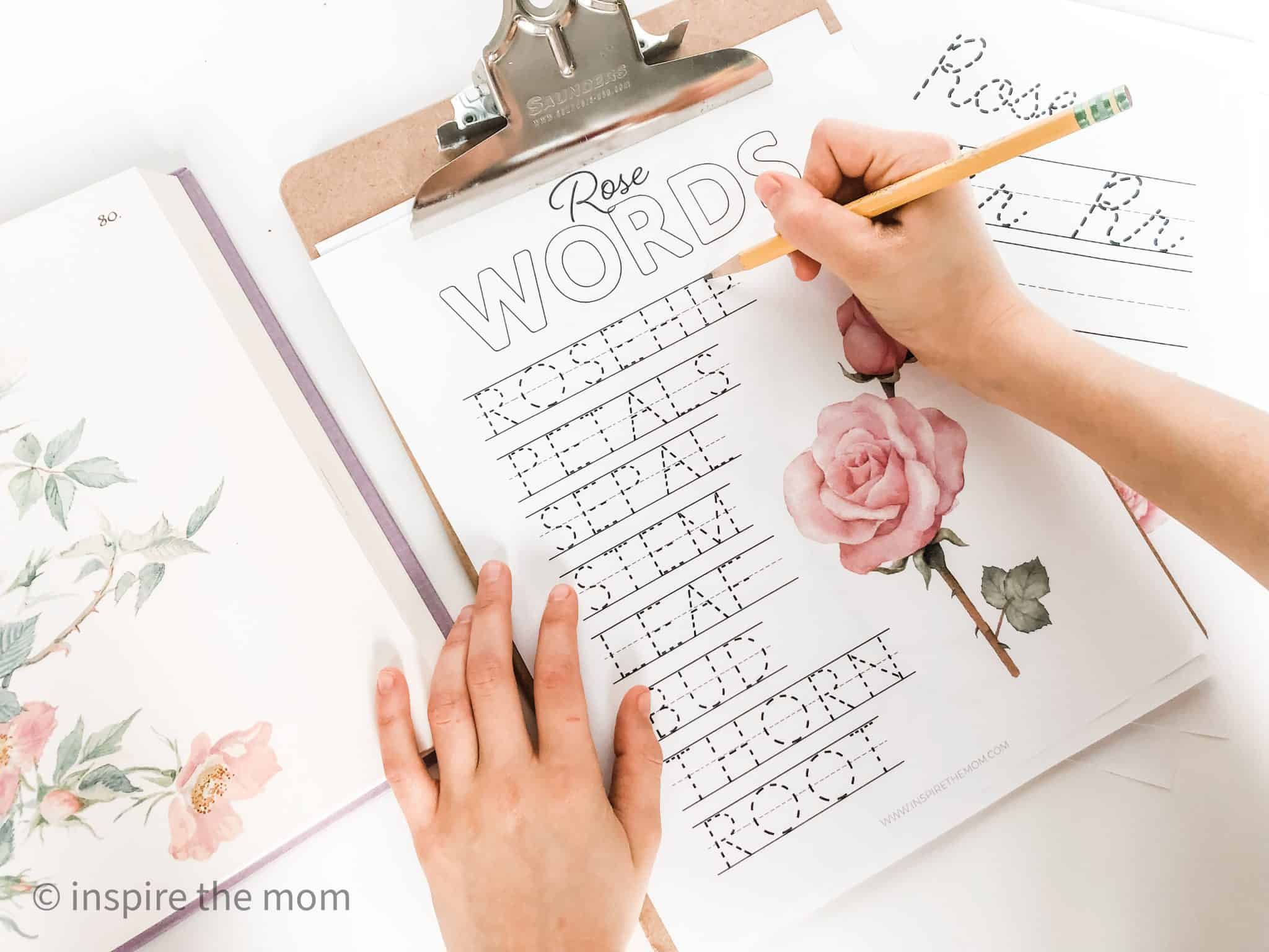 Parts of a Rose Mini Unit - Inspire the Mom