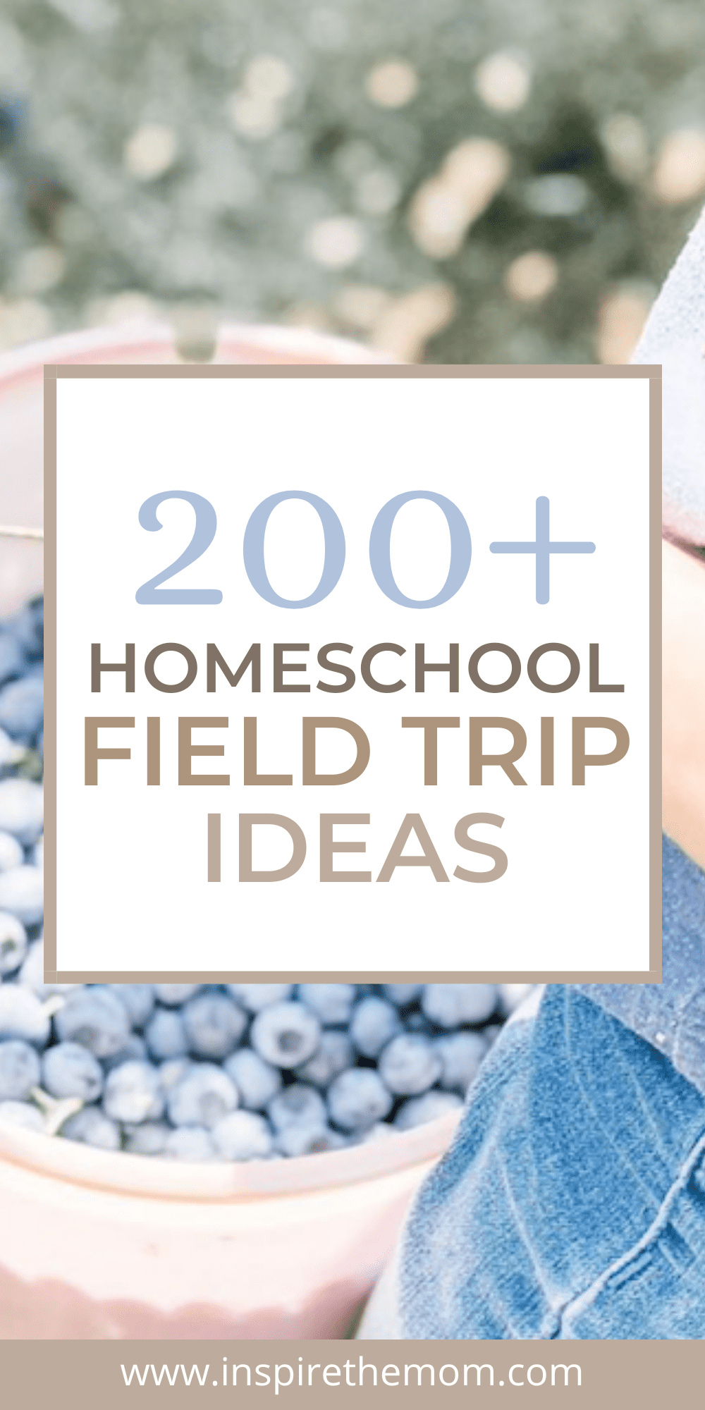 200+ Homeschool Field Trip Ideas - Inspire the Mom