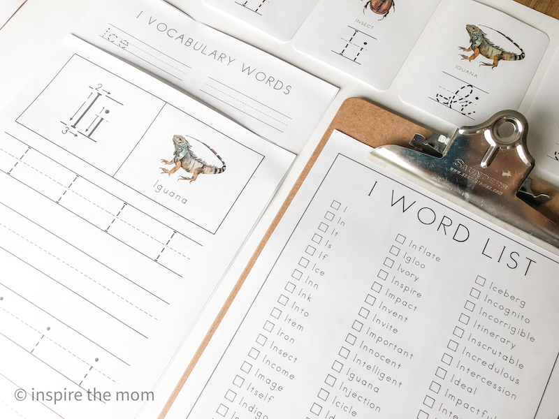 Printable Preschool Learning Folder for the Early Years