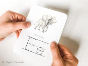 100+ Objects That Start with E - Alphabet Items A-Z