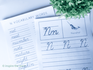 100+ Objects That Start with N - Alphabet Items A-Z