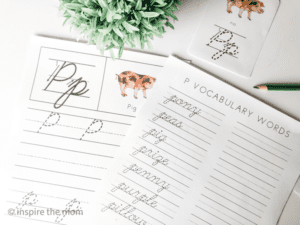 100+ Objects That Start With P - Alphabet Items A-Z