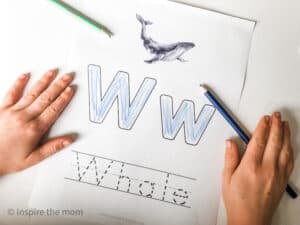 100+ Objects That Start With W - Alphabet Items A-Z