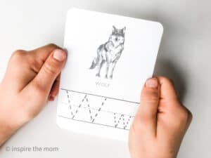100+ Objects That Start With W - Alphabet Items A-Z