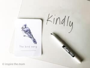 100+ Objects That Start With R - Alphabet Items A-Z