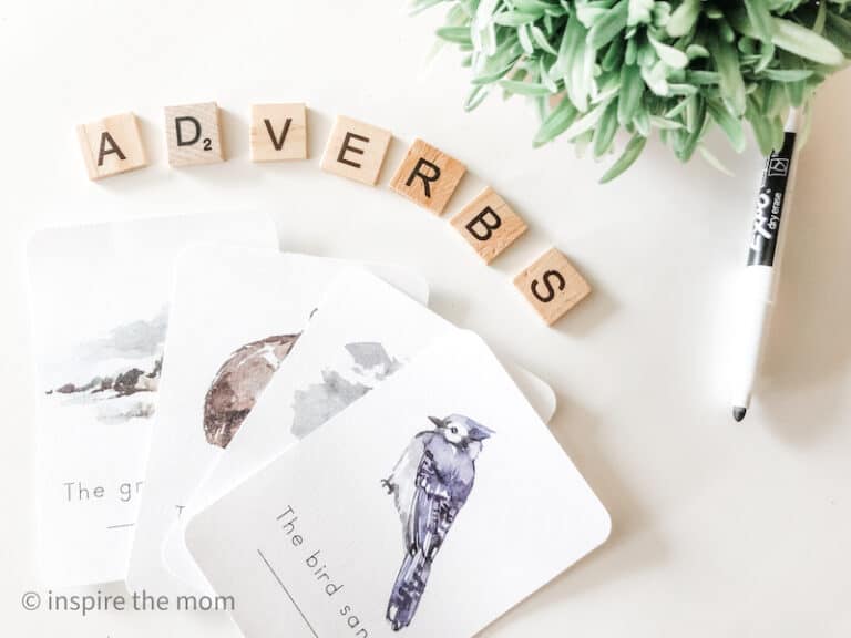 Adverbs That Start With B - (Alphabet Adverbs A-Z)