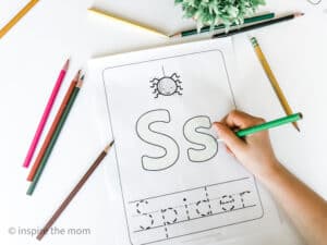 Letter S Worksheets - (Free Learning Pages)