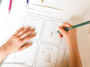 Letter T Worksheets - (Free Alphabet Worksheet Series)
