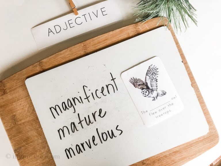 Adjectives that Start with M - (Huge List)