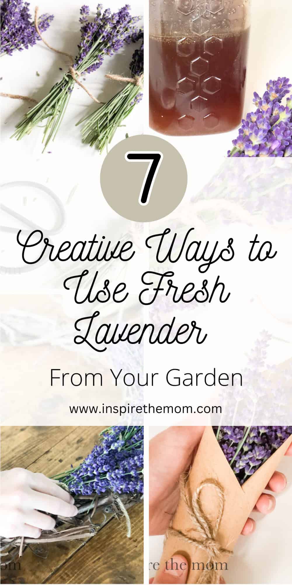 7 Creative Ways to Use Fresh Lavender from Your Garden