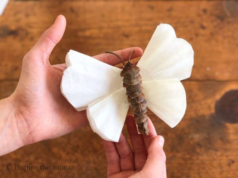 Easy Nature-Inspired Butterfly Craft