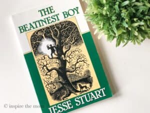 125+ Best Chapter Books for Boys Ages 6-18