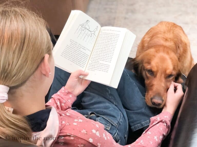 125+ Best Chapter Books for Girls Ages 6-18 - (Clean & Captivating)